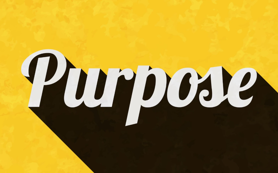Purpose By Design: Building Brands That Mean Something - Daniels By Design